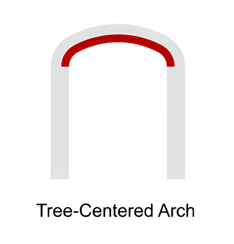 From Roman To Modern Discover The 16 Types Of Arches That Shape Our World